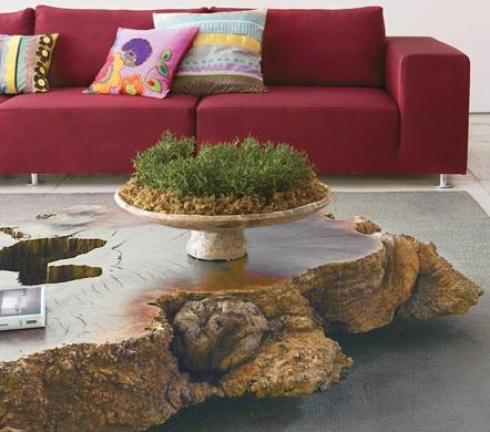 Decoração com Móveis de Madeira Bruta